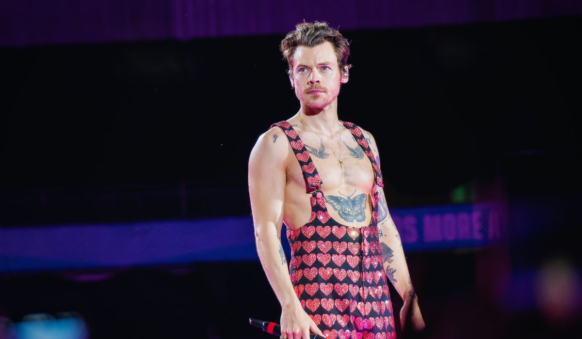 Harry Styles Hit by Flying Object During Vienna Show